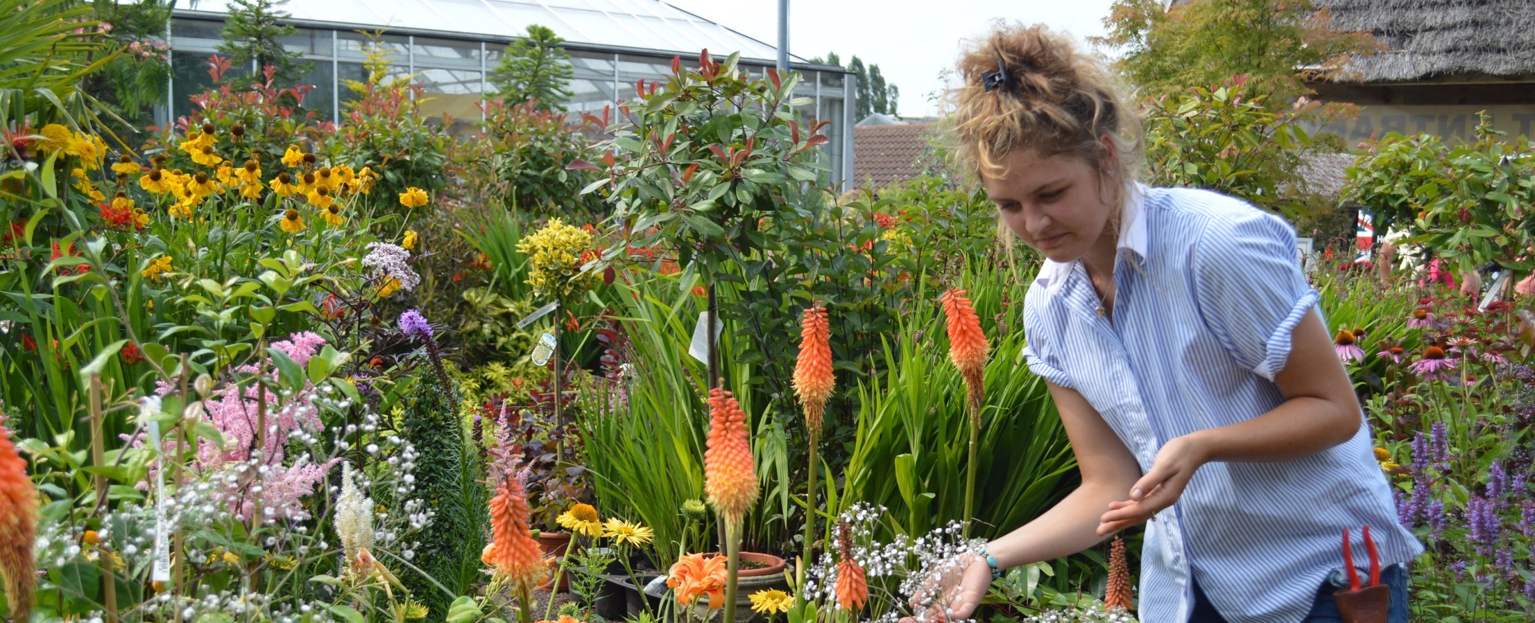 Regional placing in Young Horticulturalist of the Year - Otter Garden ...