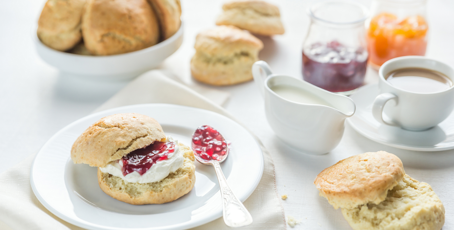 Otter Jack's Patch - Otter Garden Centres