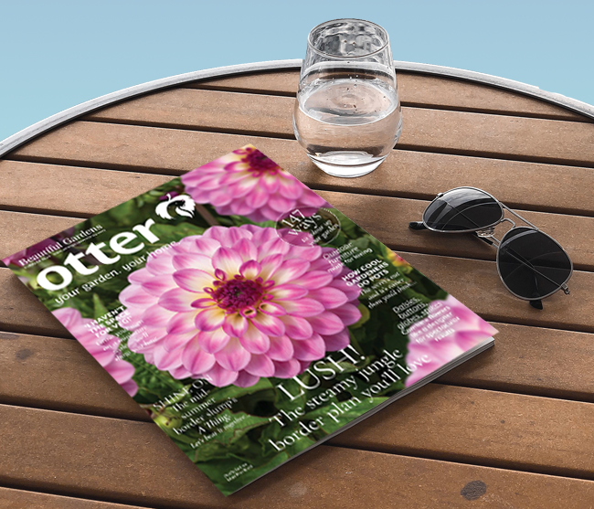 Beautiful Summer Magazine 2025 - Otter Garden Centres